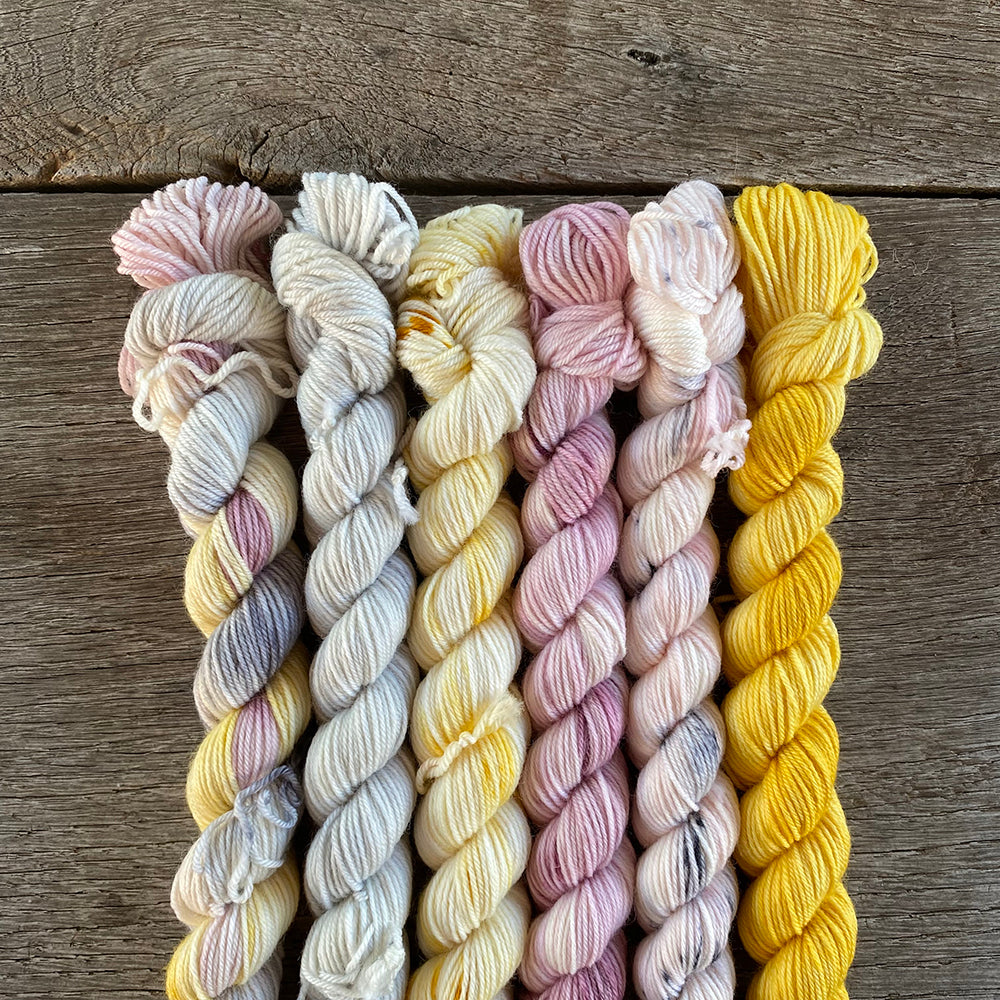 Newsletter 802 – Haus of Yarn